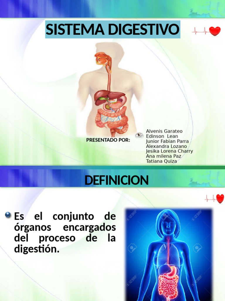 Sistema Digestivo | PDF | Digestión | Sistema digestivo humano