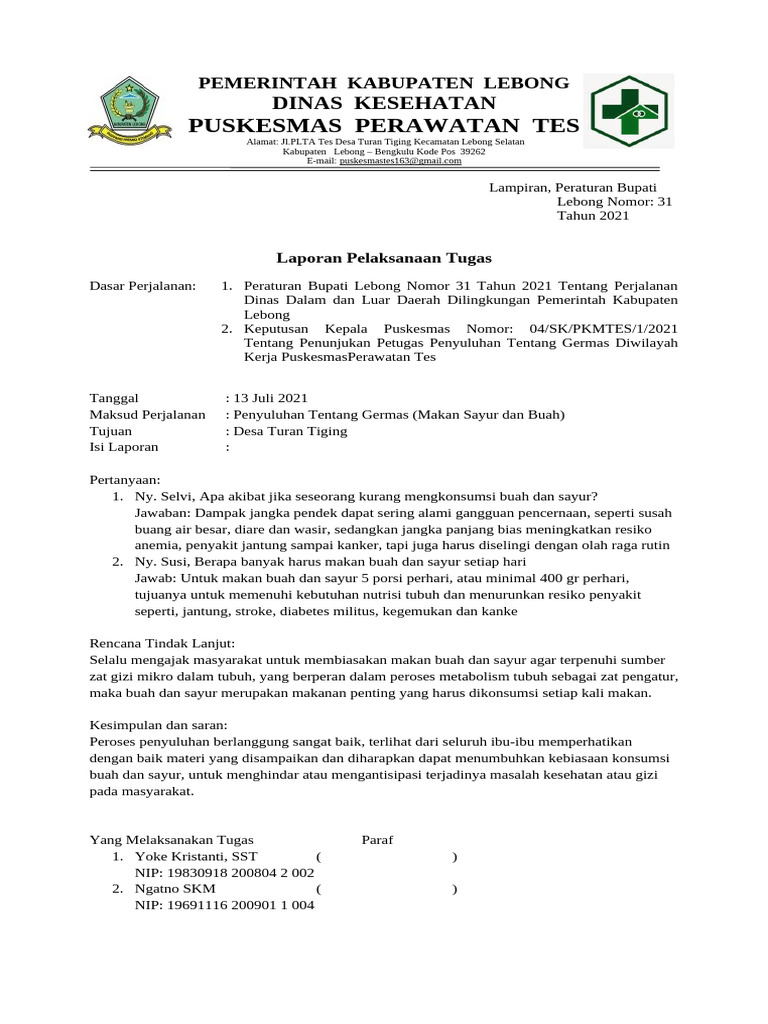 Penyuluhan Pentingnya Buah dan Sayur | PDF