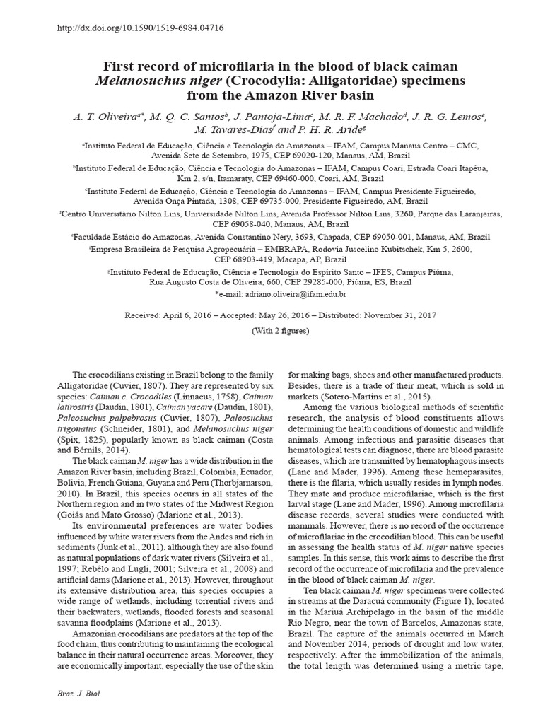 First Record of Microfilaria in The Bloo | PDF