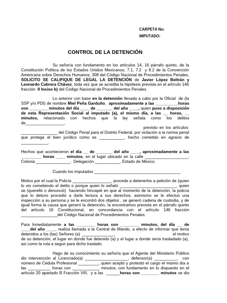 Control de Legalidad de La Detención | PDF | Gobierno | Justicia