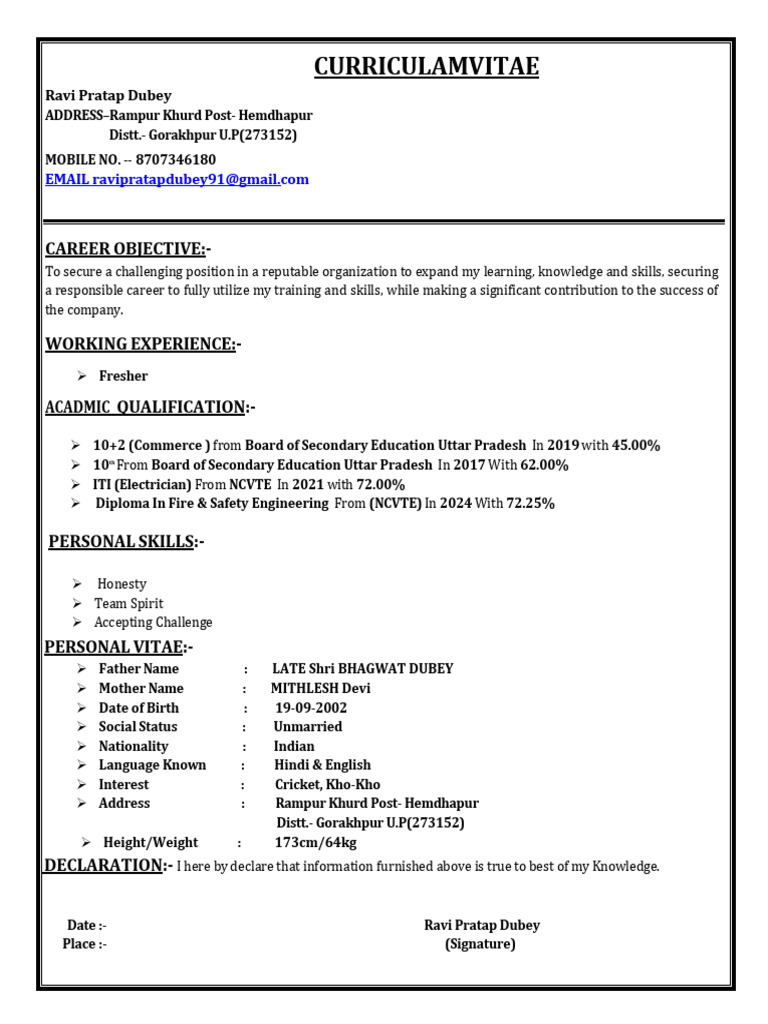Ravi Pratap CV | PDF