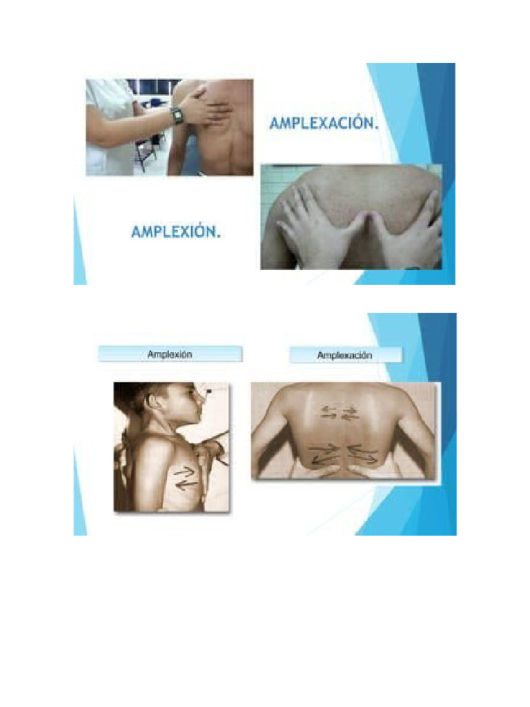 Amplexion y Amplexacion | PDF