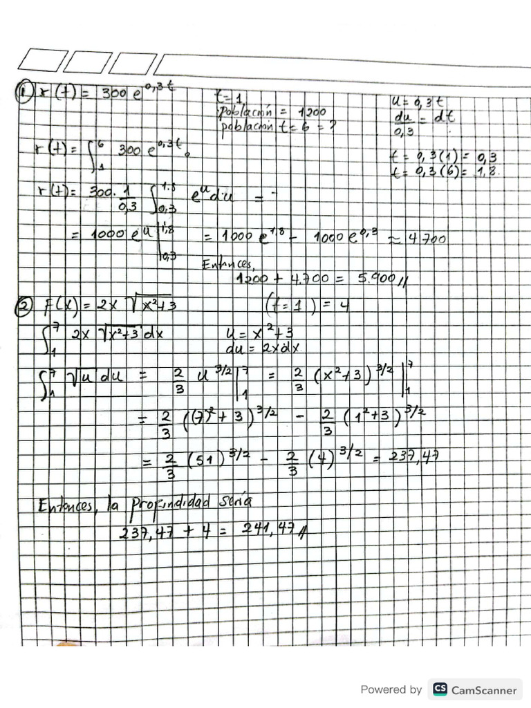 Taller Calculo Integral | PDF