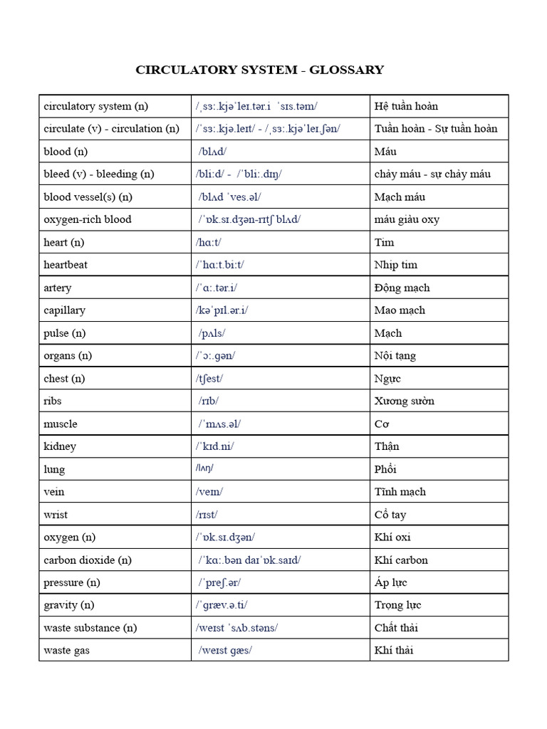 Circulatory System - Glossary | PDF