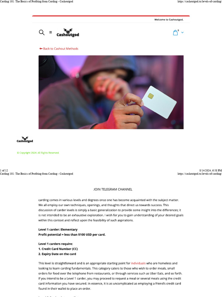 Levels of Carding | PDF