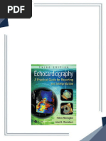 First Aid Crossword Puzzle | PDF | Cardiopulmonary Resuscitation ...