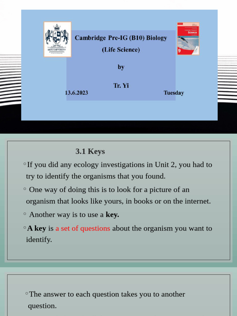 Pre IG PPT 24, 3.1 | PDF