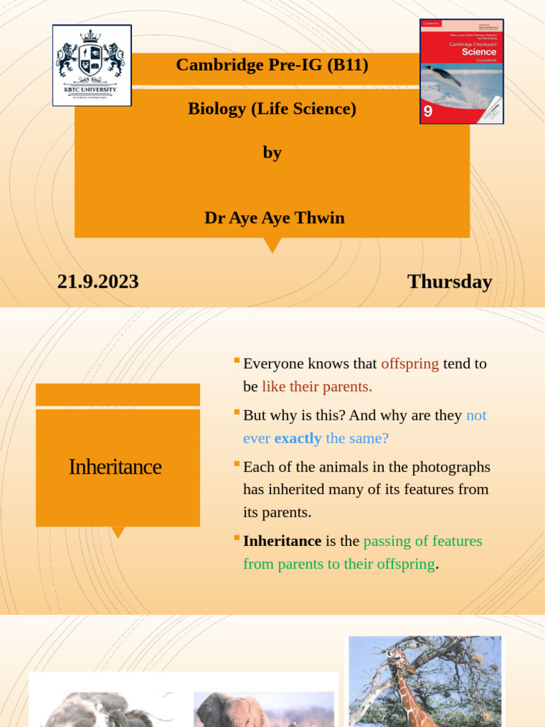 Pre IG PPT 26, 3.3 | PDF | Gene | Genetics