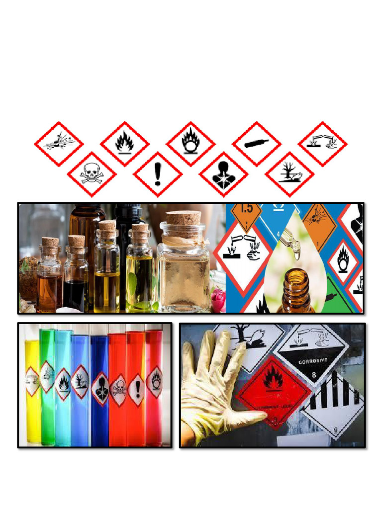 Chemical Safety Pictograms | PDF | Dangerous Goods | Toxicity