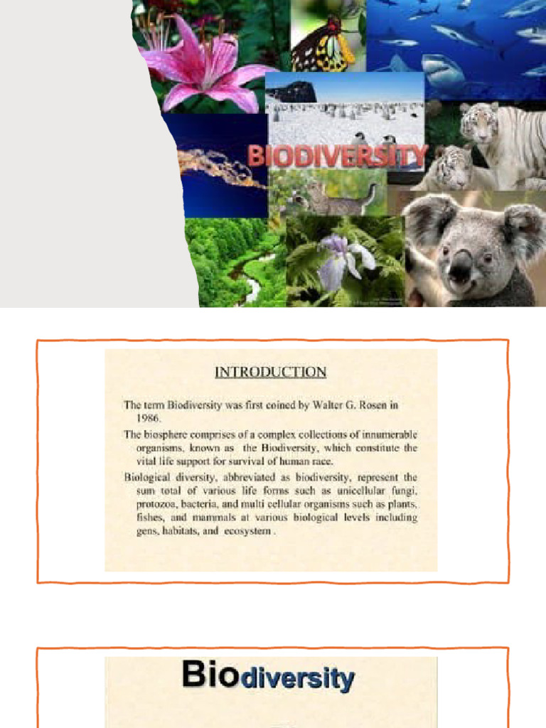 Biodiversity | PDF
