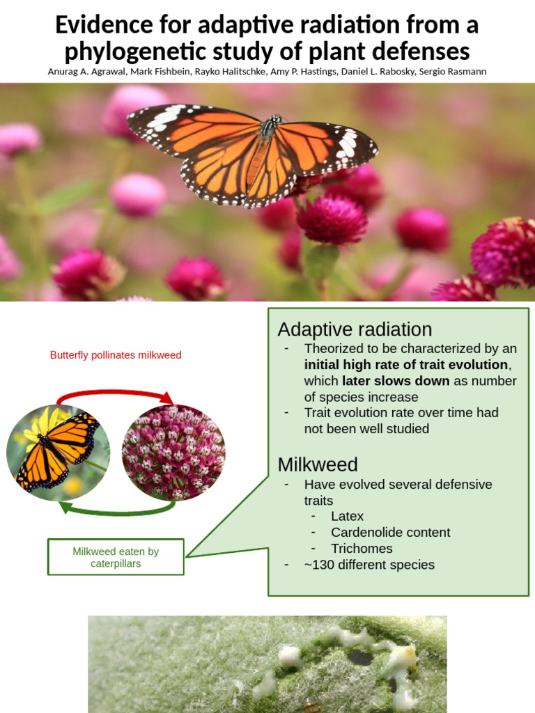 Coevolution Primary Literature Presentation | PDF