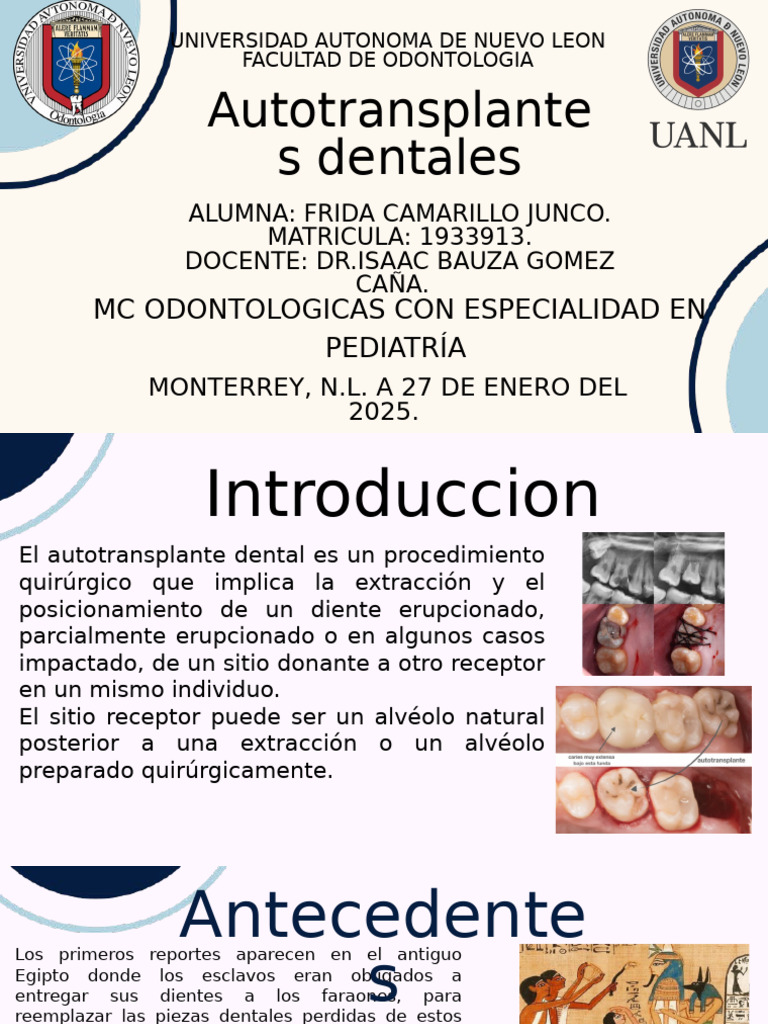 Auto Transplant e | PDF | Diente humano | Especialidades Medicas