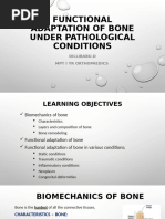 Butler Neural Mobilization | PDF | Nervous System | Nerve