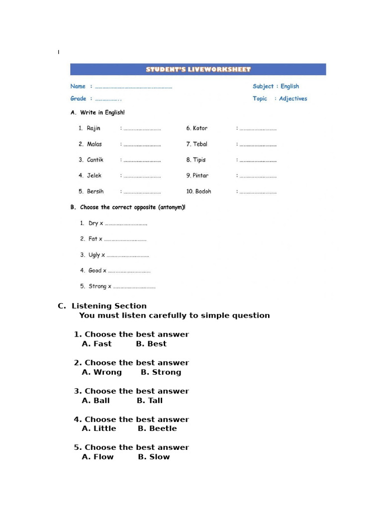 Englis Test (Adjective) | PDF