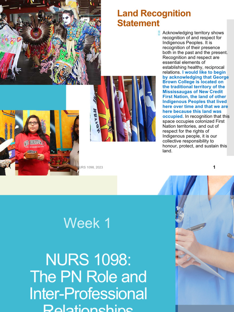 W1-PN Role, IR, Health Care System | PDF