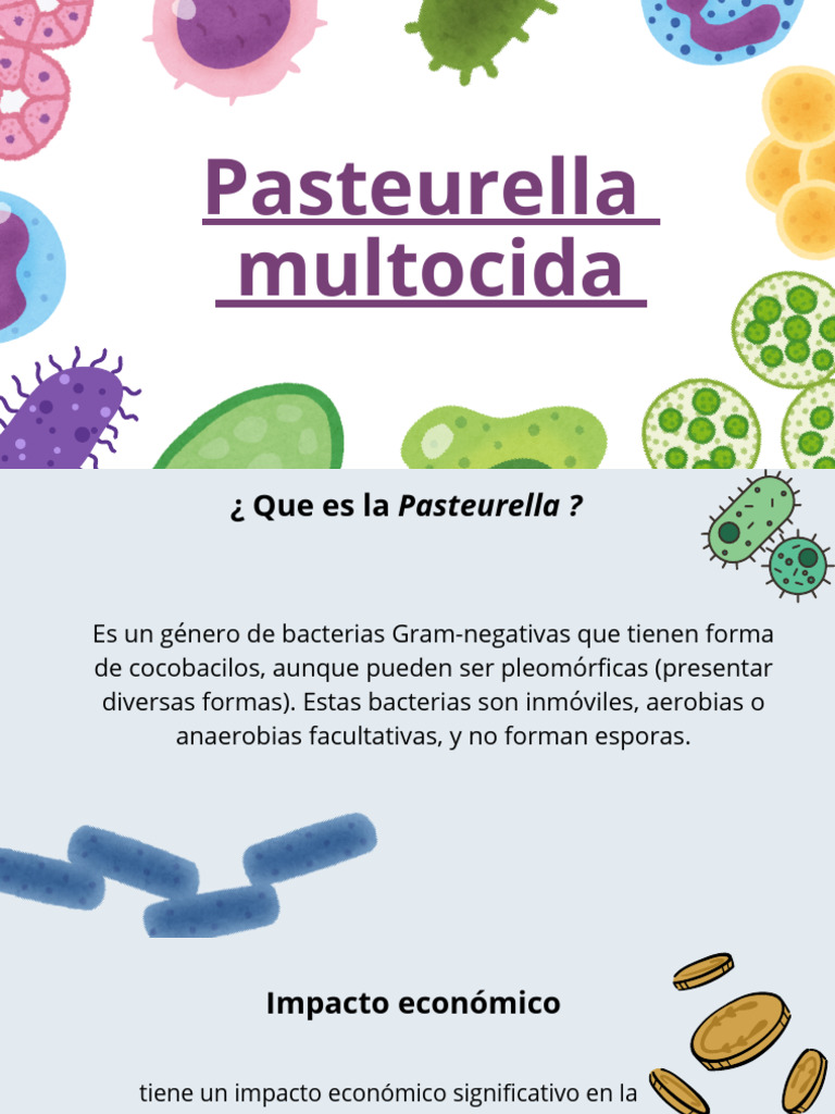 Expo Micro | PDF | Microbiología | Biología