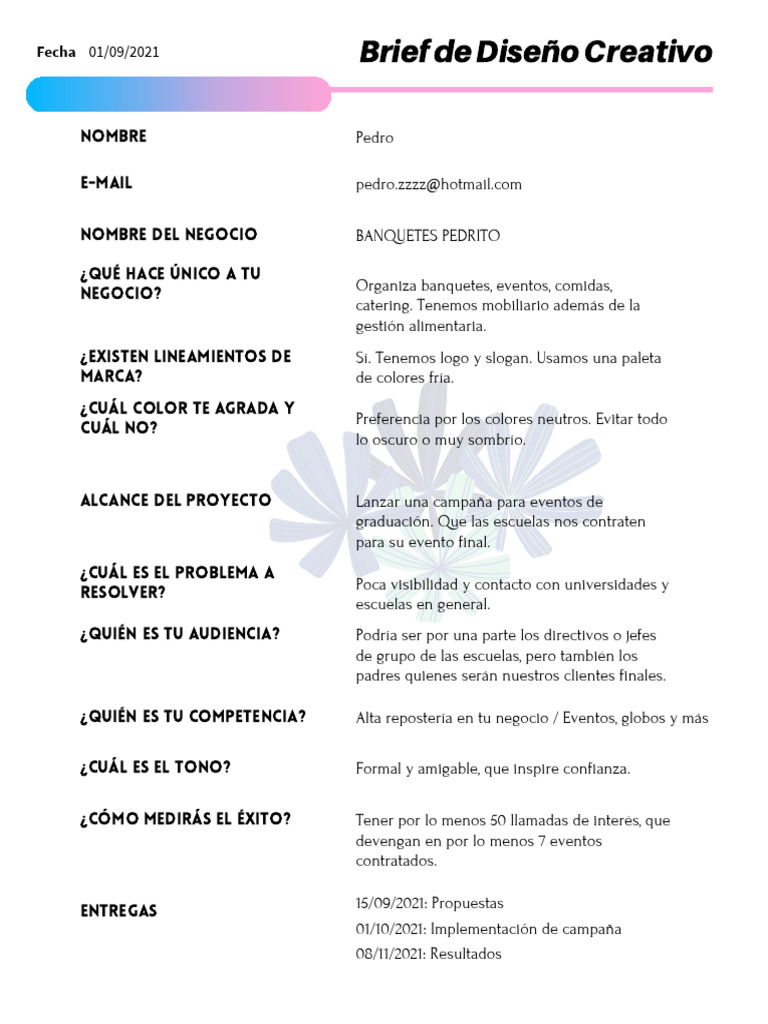 Brief de Diseno Creativo | PDF