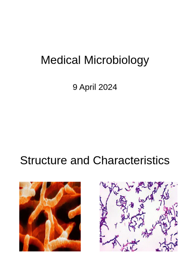 Actinomycetes Nocardia 9apr24 | PDF | Immunology | Microbiology