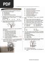 Reproductive System Chapter 16 Key Answer | PDF