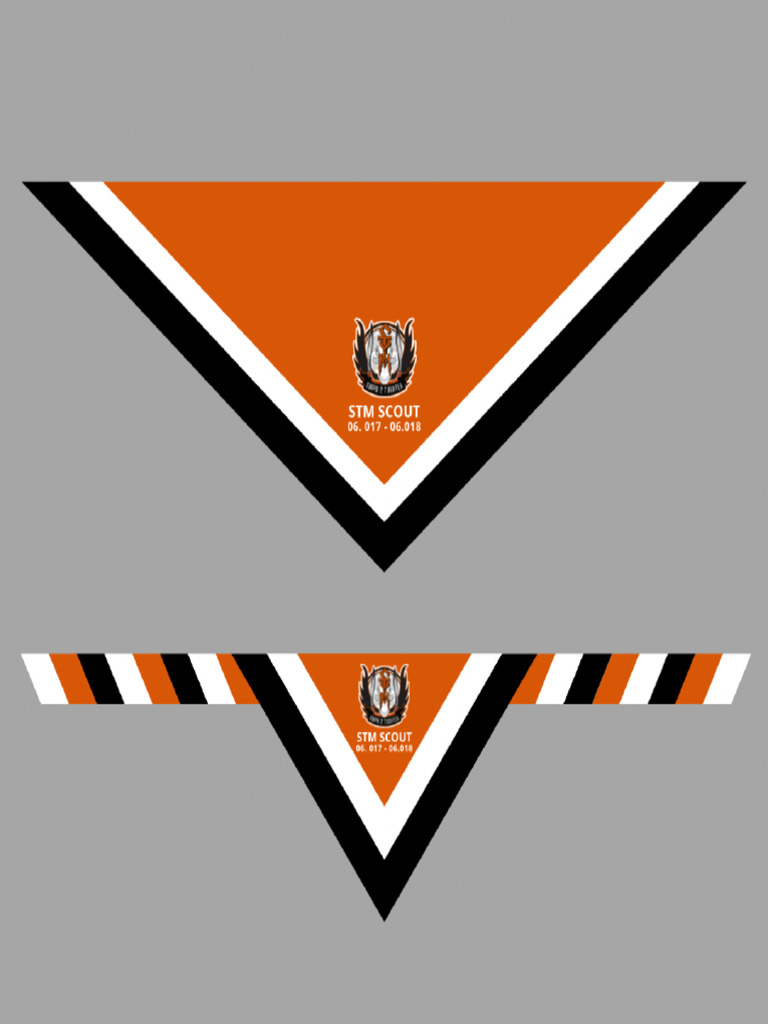 SCAFT STM SCOUT | PDF