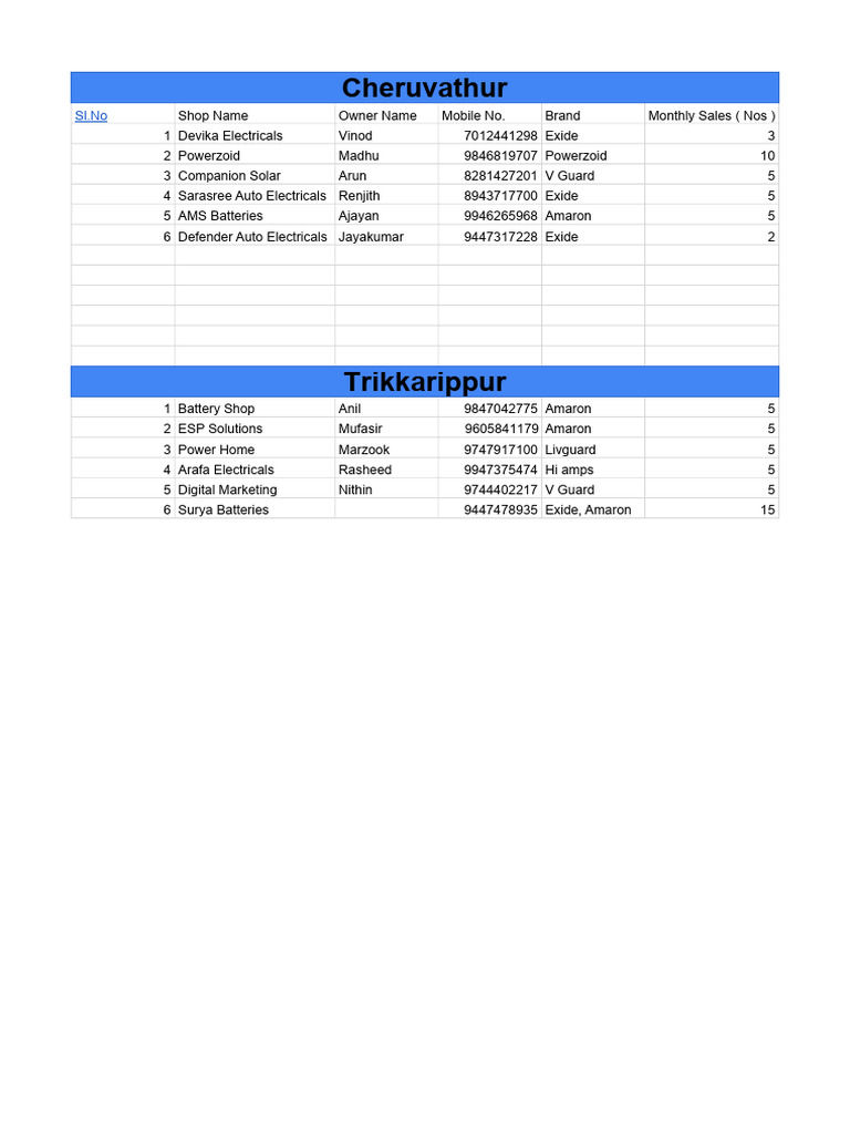 Dealers Data Sheet (1) .XLSX - CheruvathurThrikkaripur | PDF