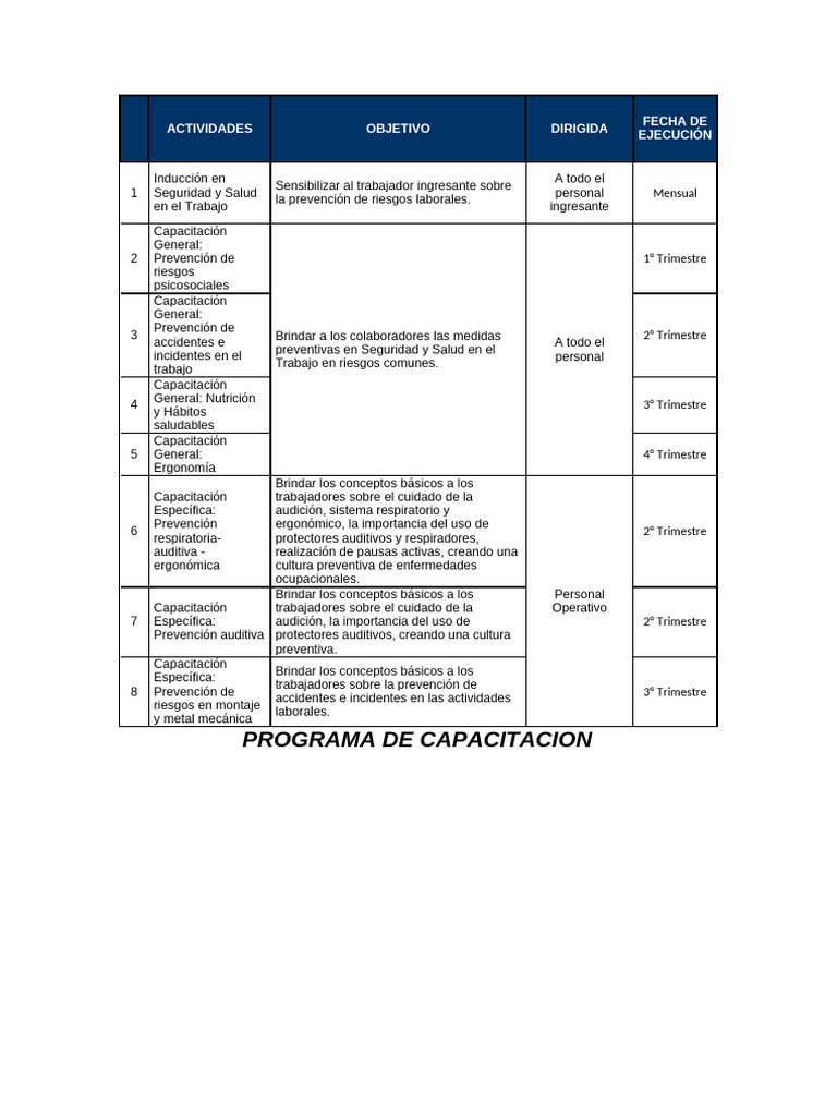 Programa de Capacitacion | PDF | La seguridad | Seguridad y salud ocupacional