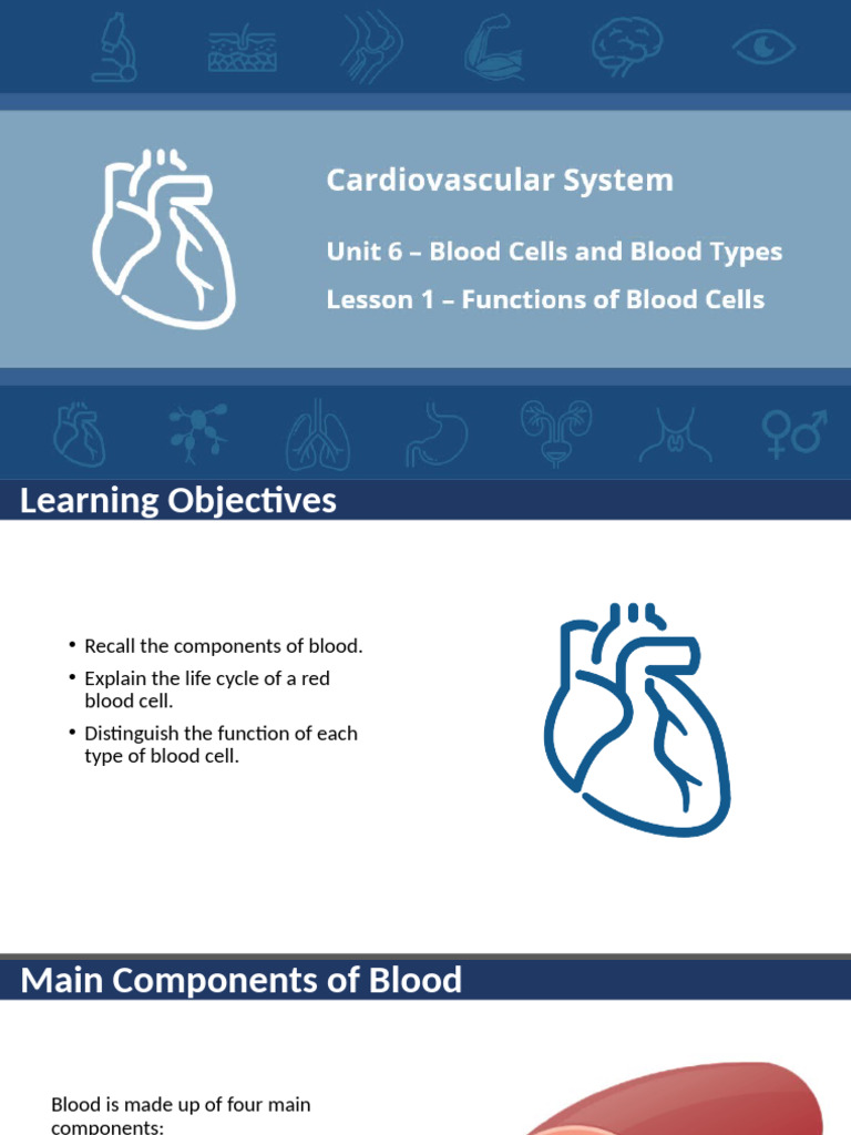 Cardiovascular System 6.1 Blood Type Cells and Functions | PDF | White ...