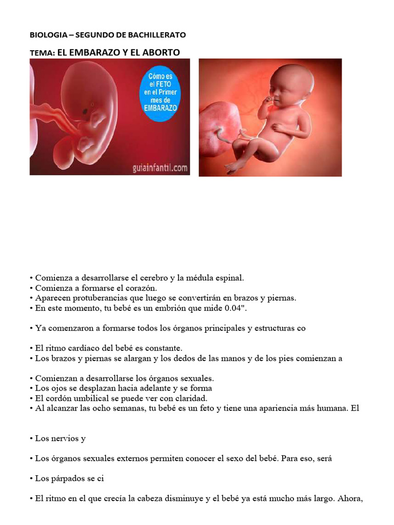 Embarazo y Aborto: Guía Educativa | PDF | El embarazo | Aborto