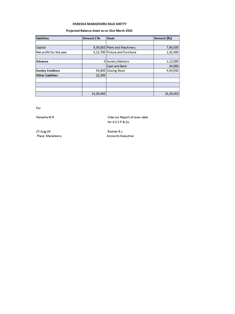 Projected Balance Sheet - 2024-25 | PDF