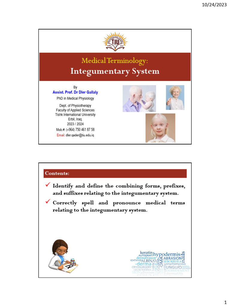 Integumentary System Terminology Guide | PDF | Integumentary System | Skin