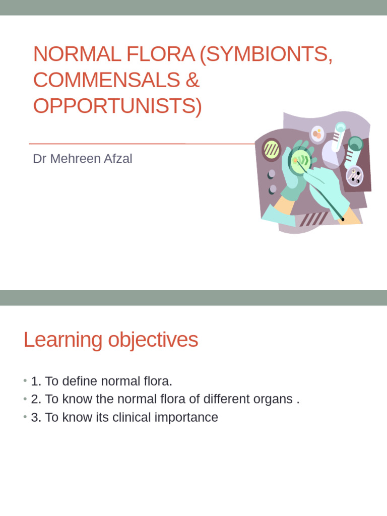 3.Normal Flora Commensils | PDF | Streptococcus | Staphylococcus