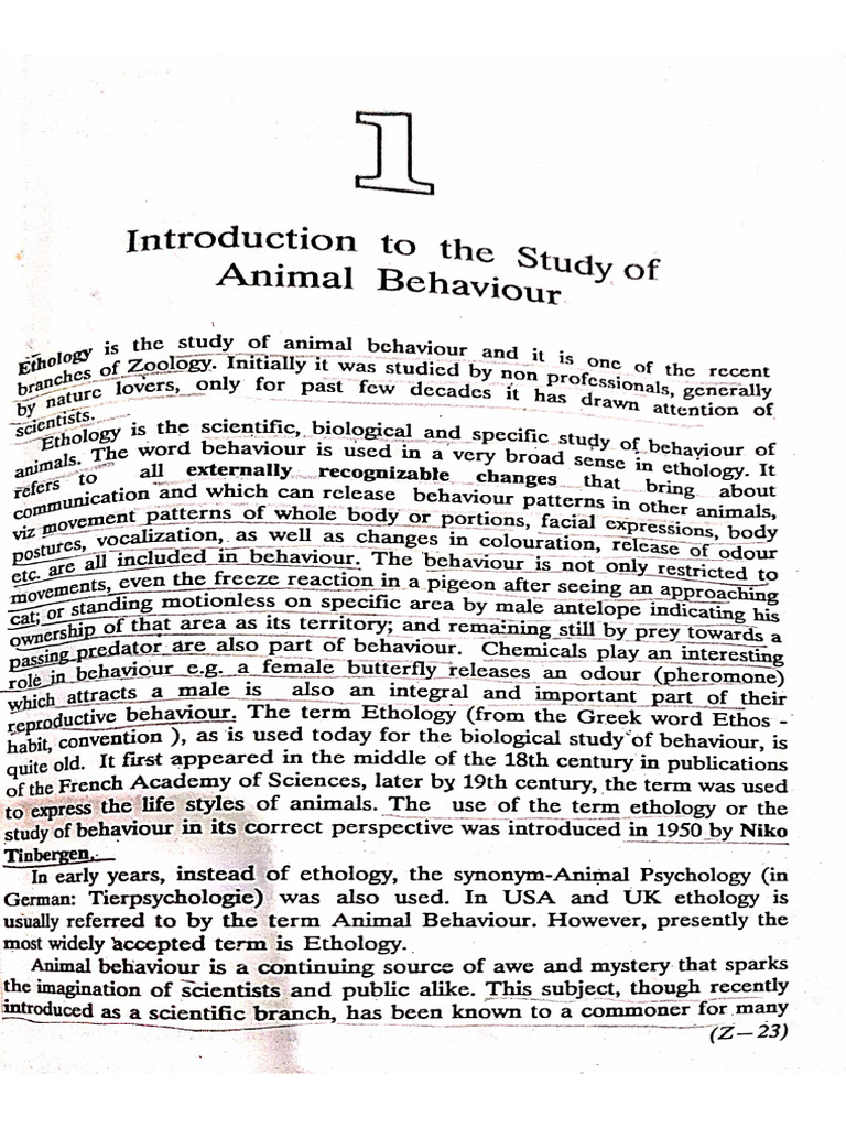 Animal Behaviour | PDF