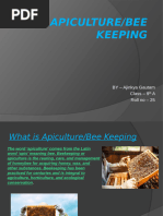 Blue Hive Guide 101 | PDF | Bees | Beehive