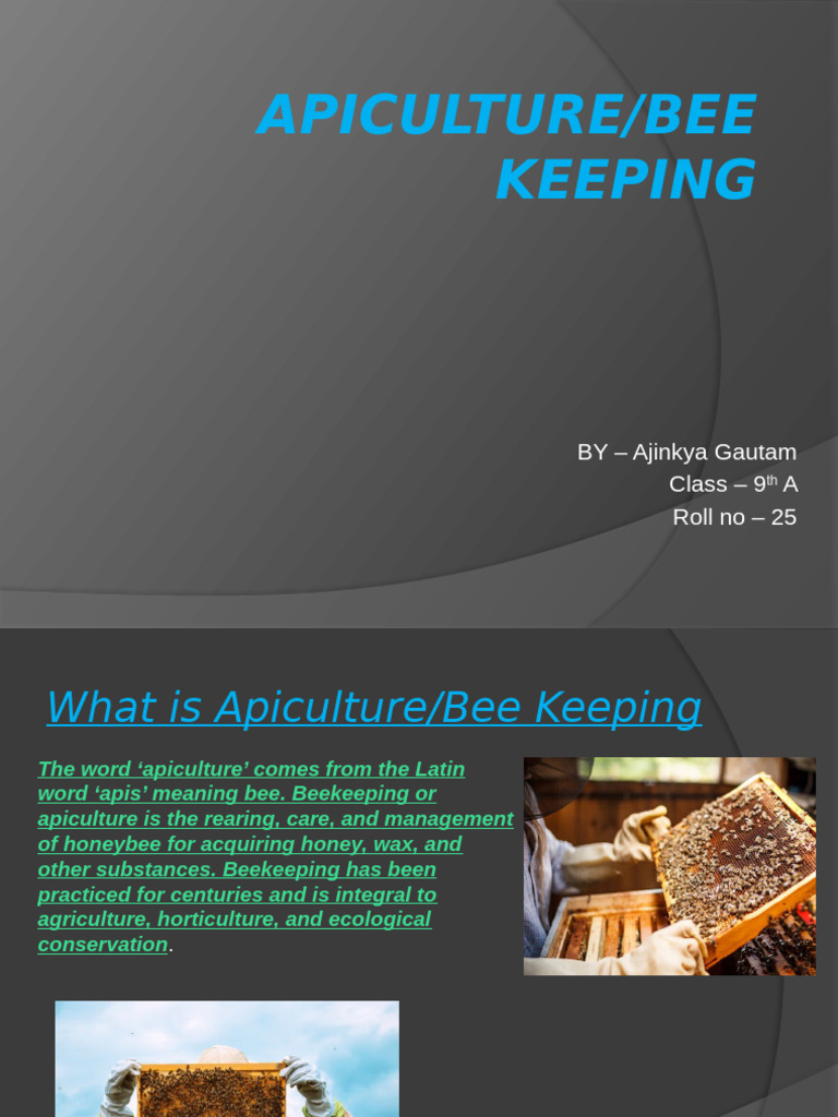 Apiculture - Science Project File | PDF | Honey Bee | Bees