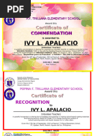 Certificate For SSG Officers | PDF