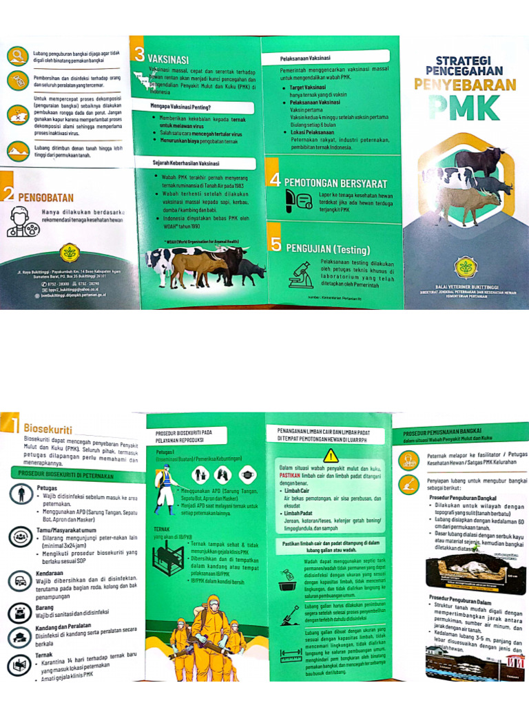 Leaflet PMK | PDF