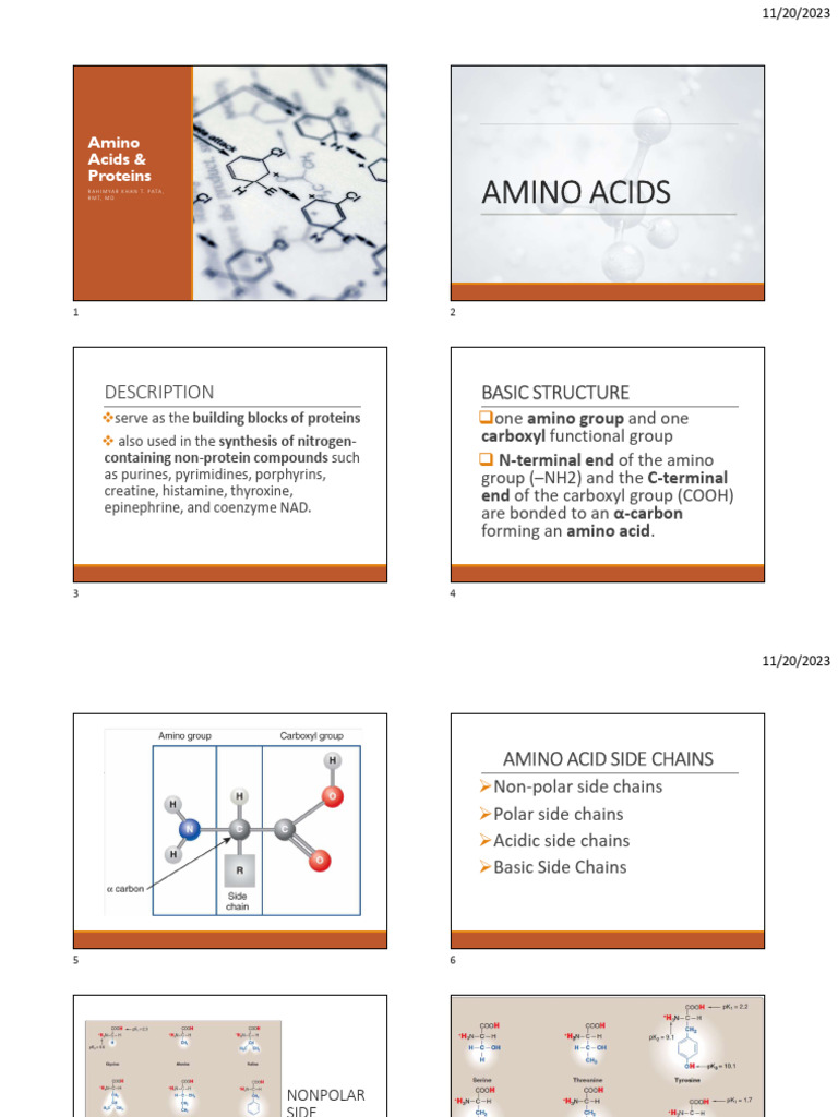 Cc1 Amino Acids and Proteins Handout | PDF | Amino Acid | Biosynthesis