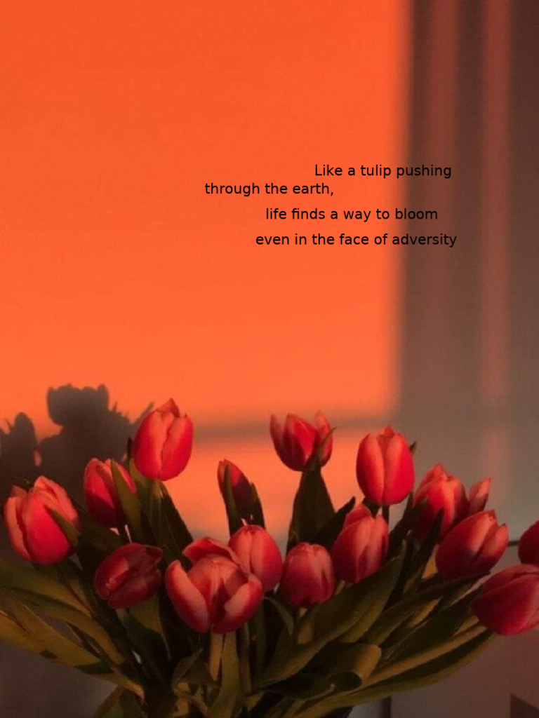 Life Blooms Through Adversity | PDF