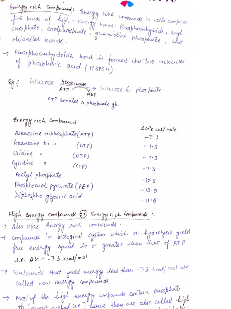 Unit-1, Topic - Energy Rich Compounds | PDF | Adenosine Triphosphate ...