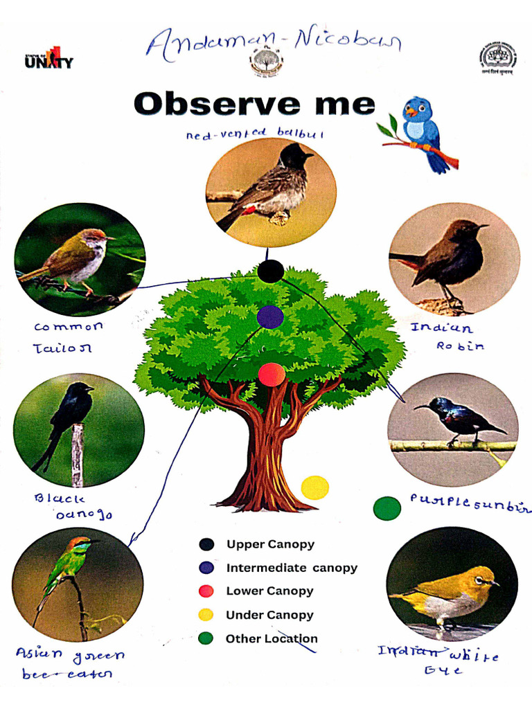 Bird Niche and Tree Habitat Scanning PDF | PDF
