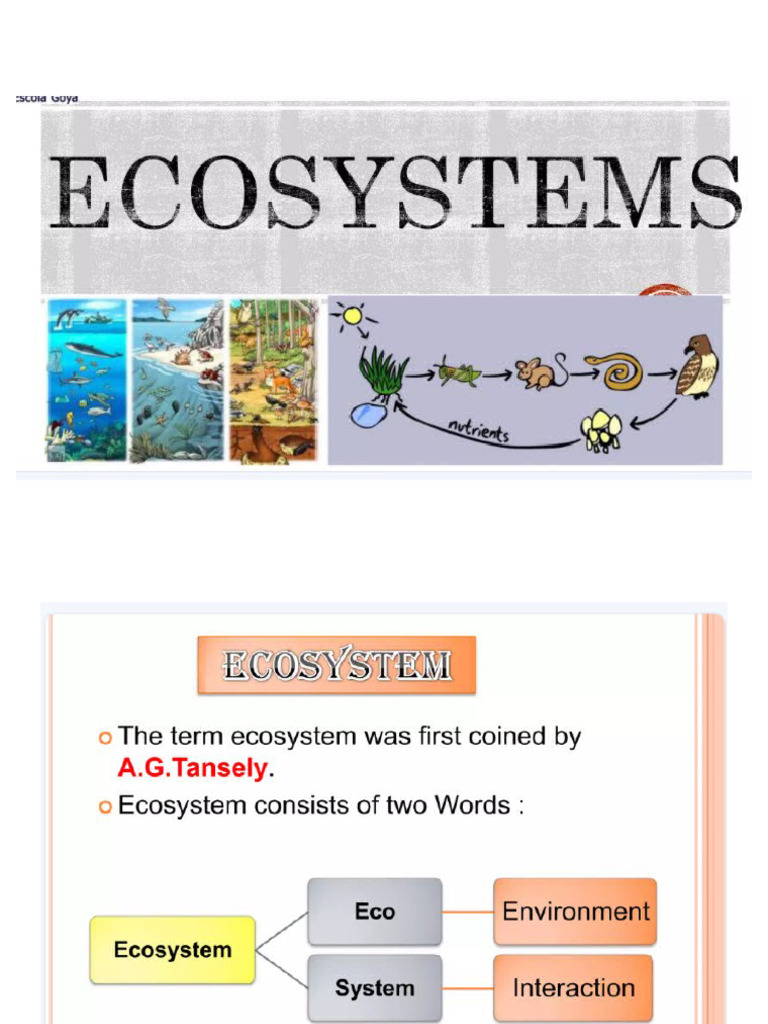 Structure and Components of Ecosystem | PDF