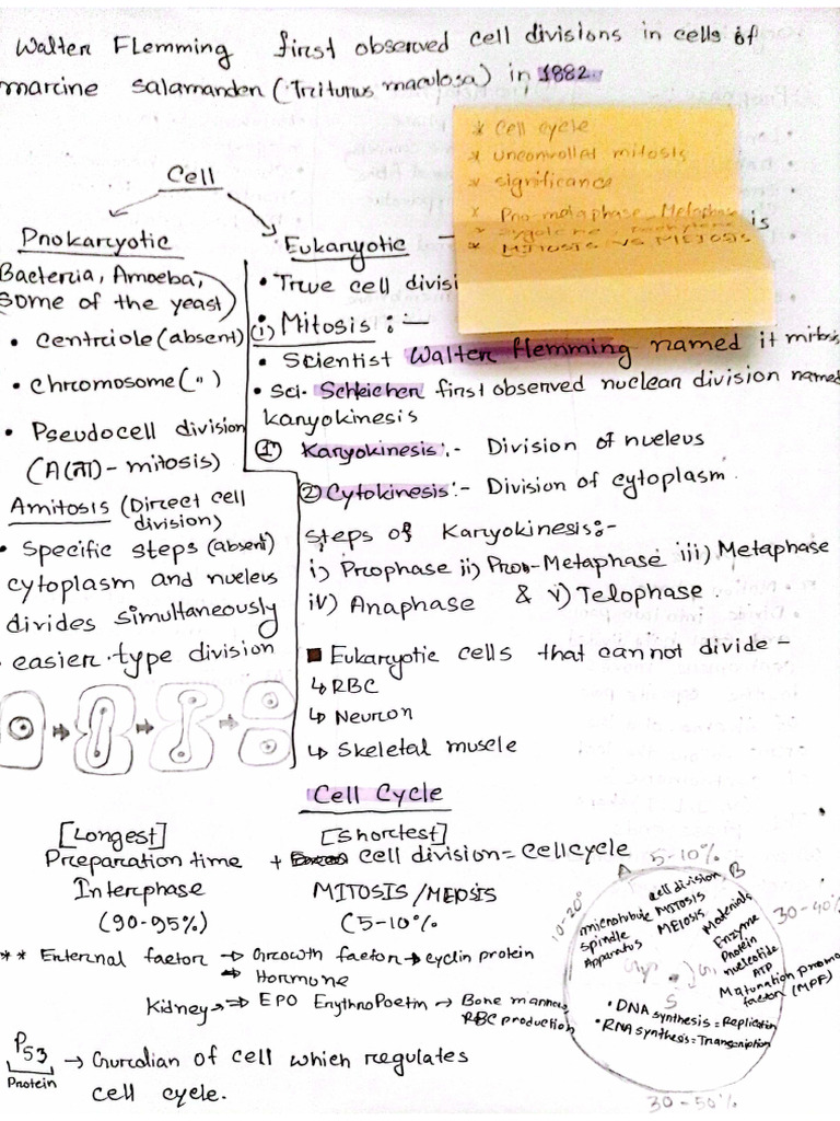 Biology Chapter - 2 First Paper English Version | PDF