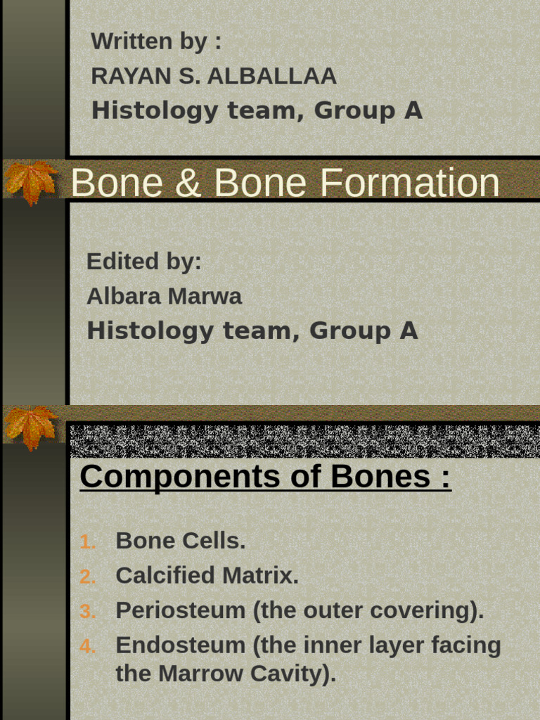 5-Bone & Bone Formation | PDF | Bone | Osteoblast