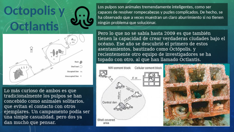 Octopolis y Octlantis | PDF