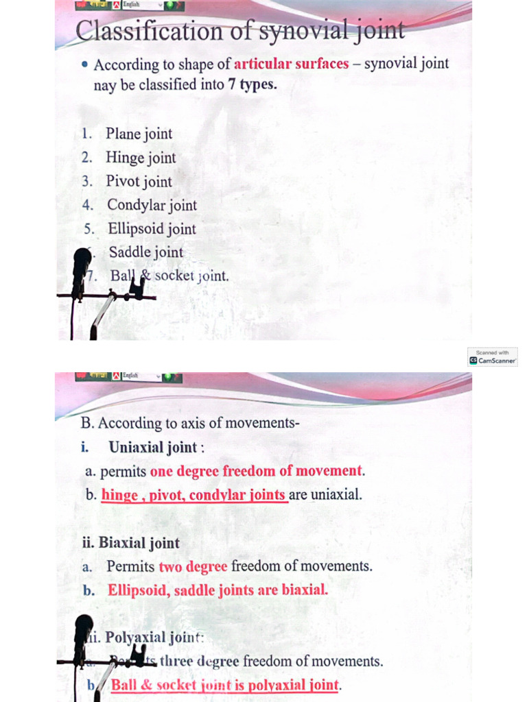 Histology - Joints - 12.12.24 | PDF