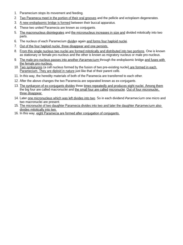 Conjugation Process in Paramecium | PDF
