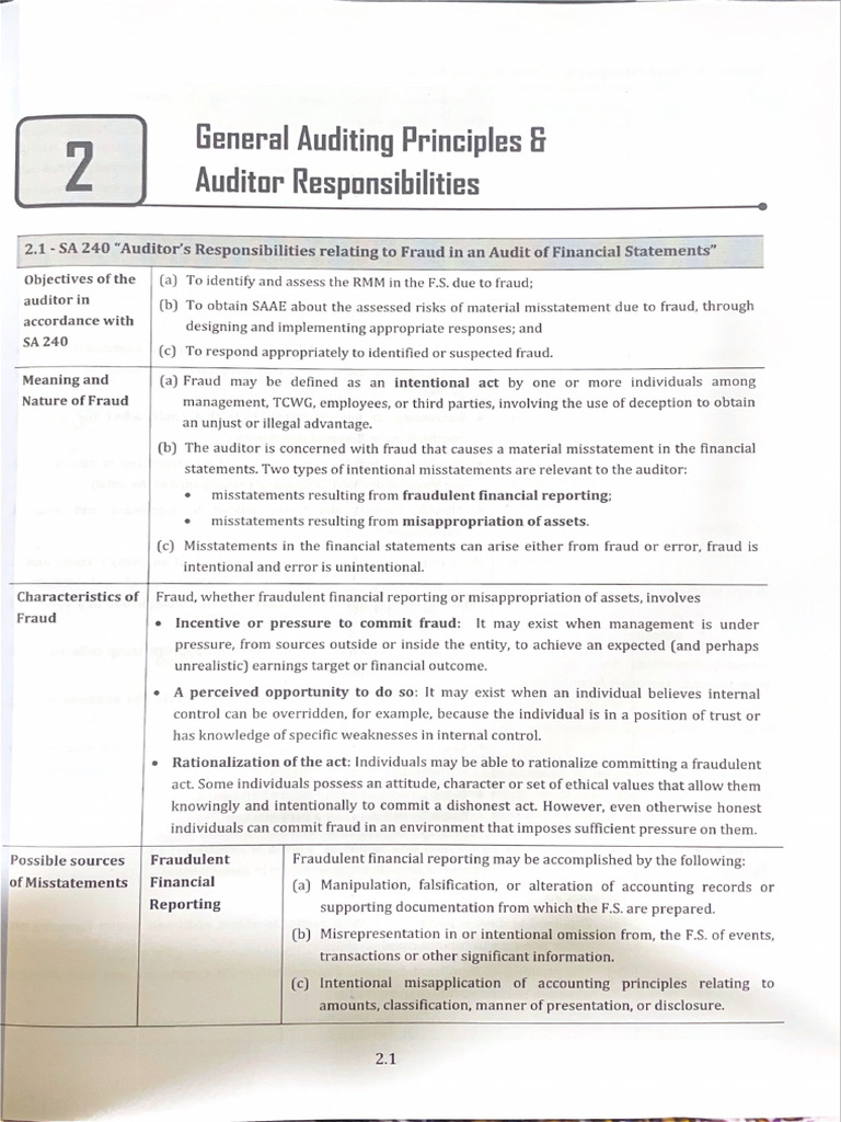 Audit - Ch-2 General Auditing Principles & Auditor Responsibilities | PDF