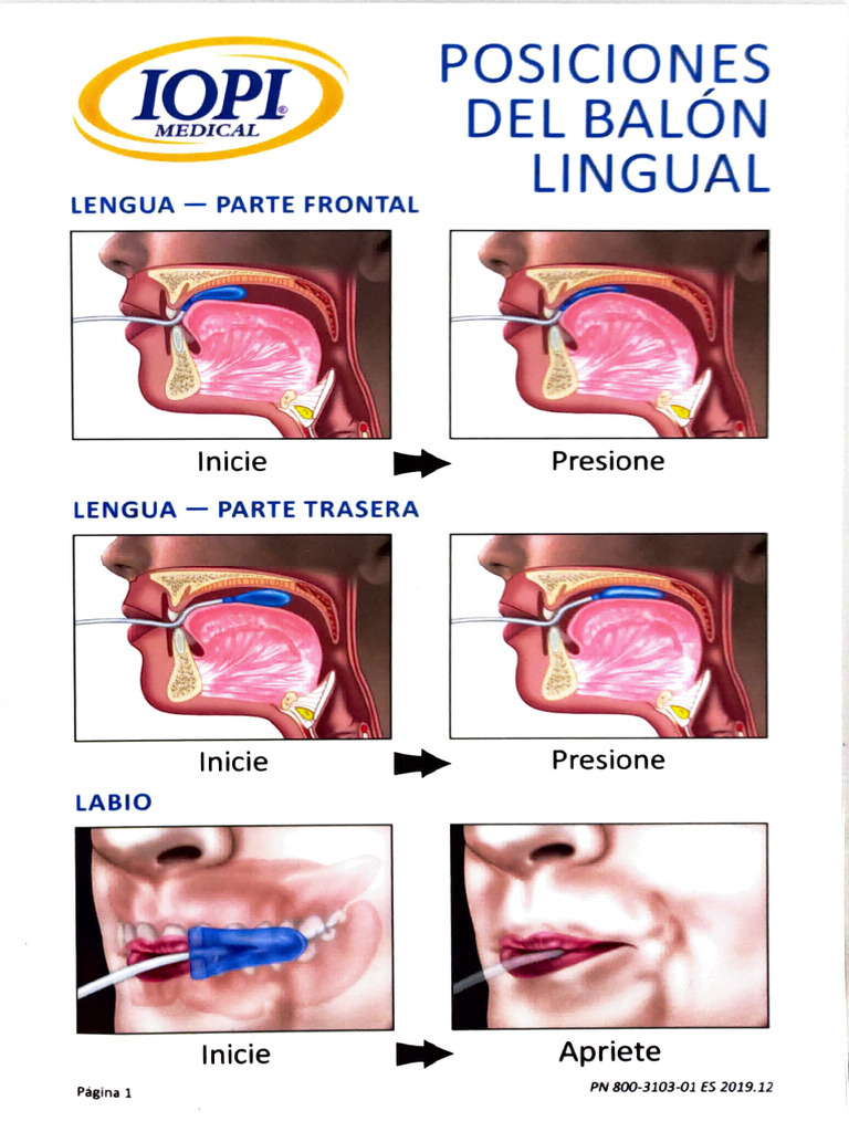 Posicion Lingual | PDF