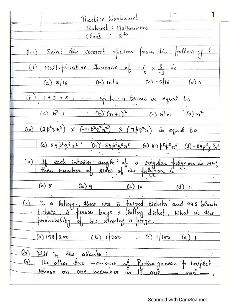 Class 8 Maths Revision Worksheet Term 1 | PDF