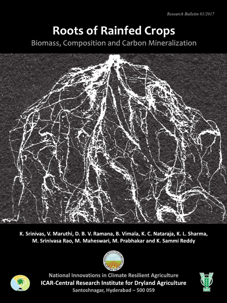Roots of Rainfed Crops Biomass, Composition and Carbon Mineralization ...